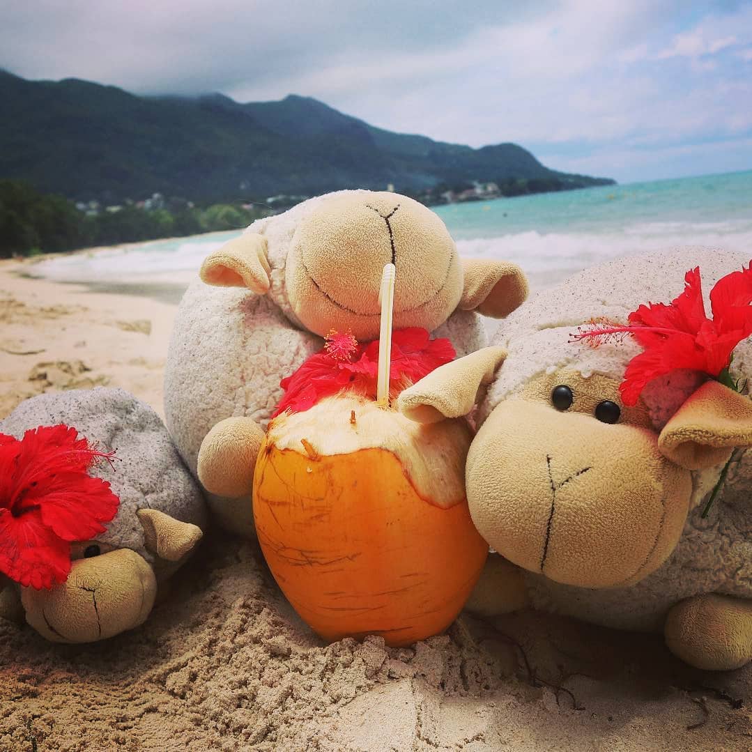 Savoy Seychelles Resort & Spa. One of the finest 5-star hotels in ...